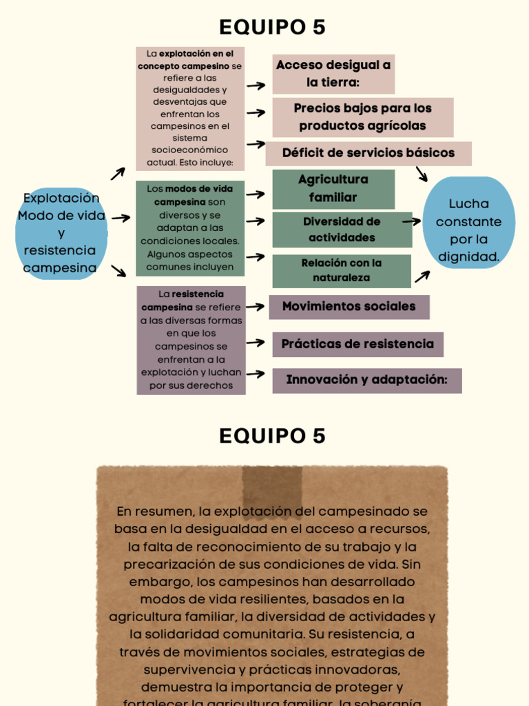 Creating A Persuasive Graphic Organizer | PDF
