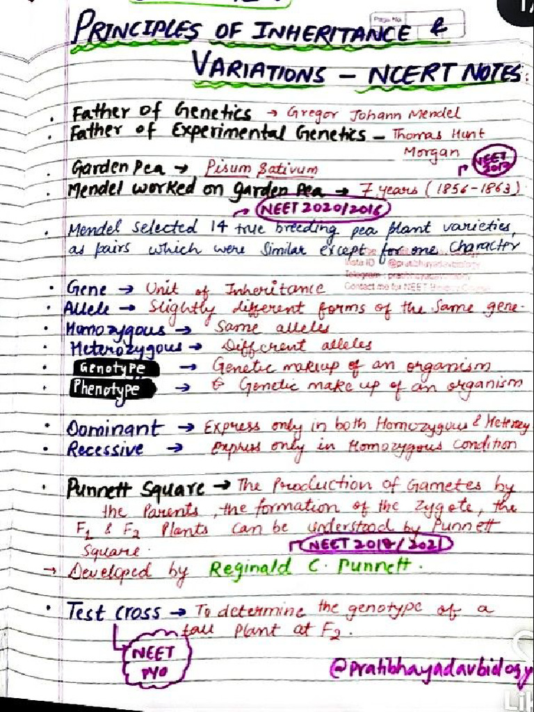 Principles of Inheritance (Notes) | PDF