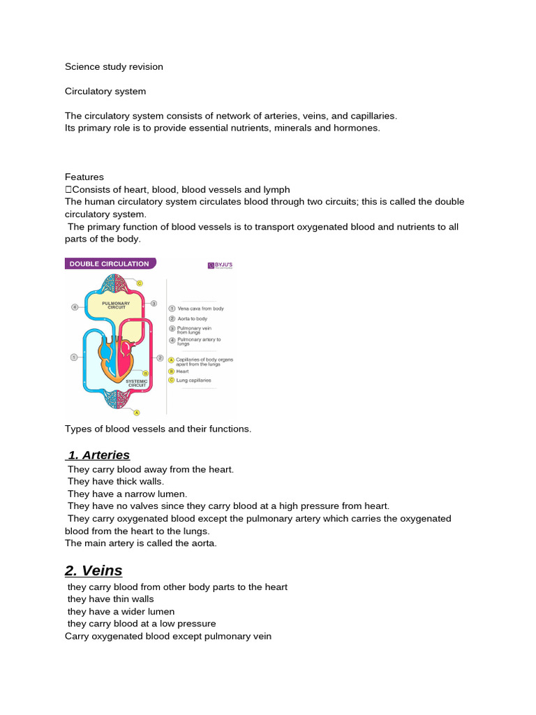 Grade 9 Circulatory System Overview | PDF