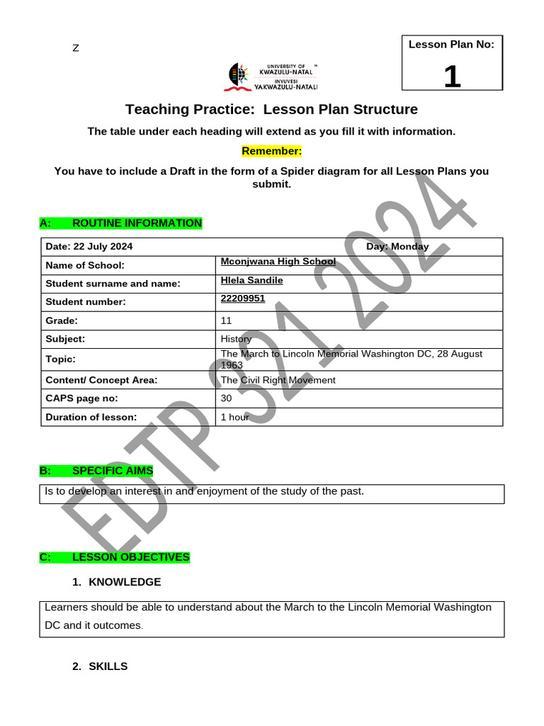 Luyanda Mthembu History Lesson Plan | PDF | Lesson Plan | Teachers