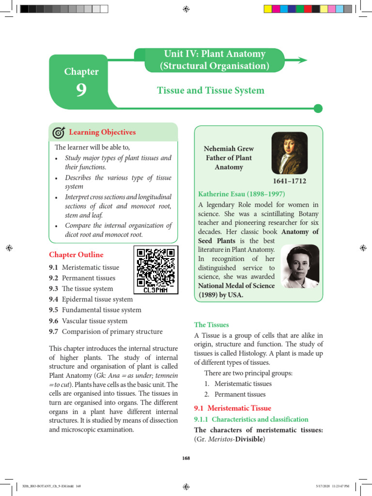 Higher Secondary Biology Chapter9 Tissue Tissue System | PDF | Tissue ...