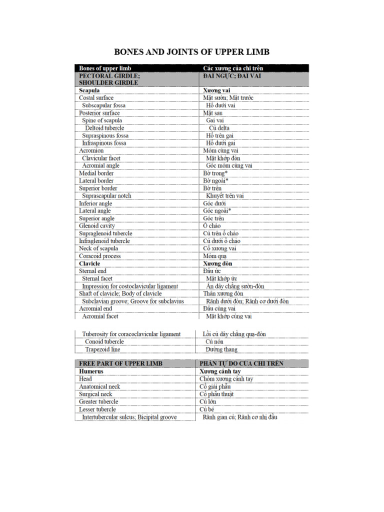 Bones and Joints of Upper Limb | PDF