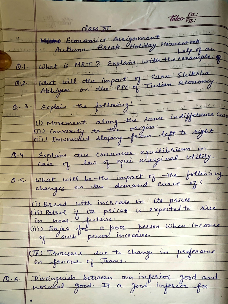 Class 11 Eco Assignment | PDF