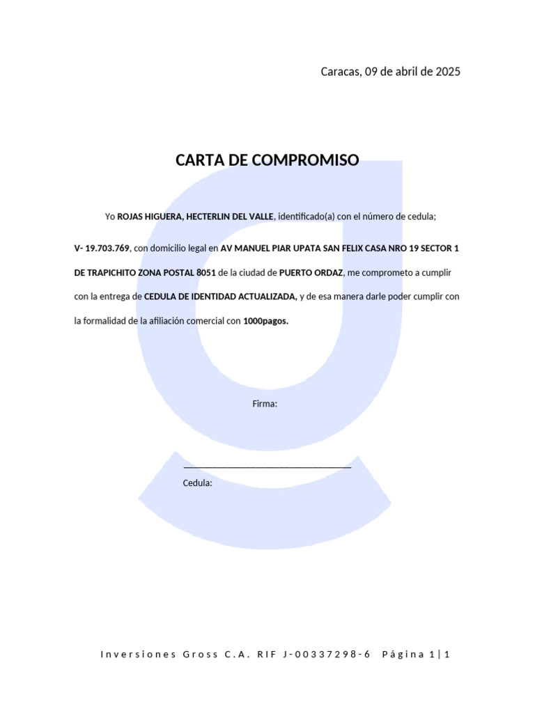 Carta de Compromiso | PDF