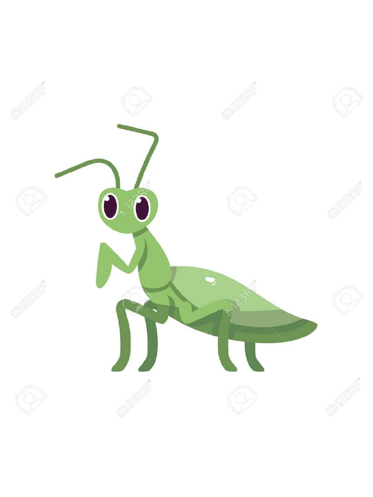 159701524 Desenho Animado Isolado de Um Grilo Ilustração Vetorial | PDF