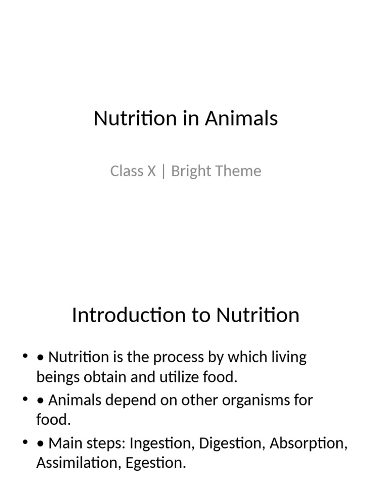 Animal Nutrition Process Explained | PDF