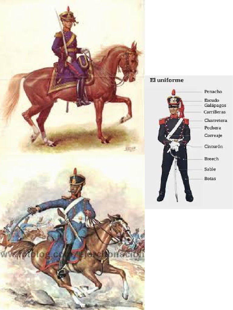 Granaderos - 20240812 - 075151 - 0000 | PDF