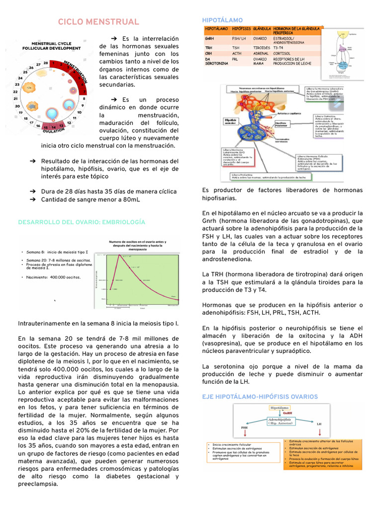 Ciclo Menstrual y Desarrollo Ovárico | PDF | Hormona luteinizante ...