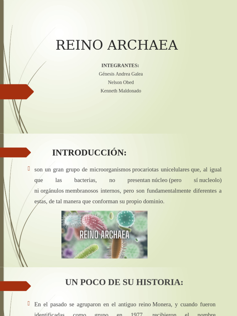 REINO ARCHAEA | PDF