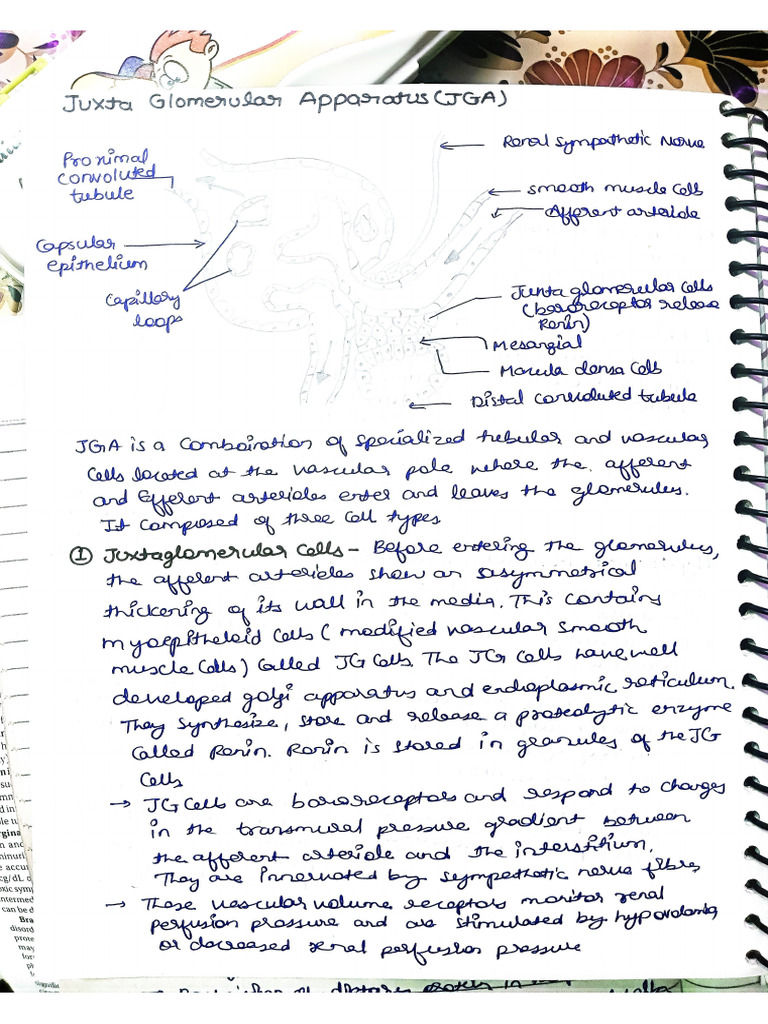 Image To PDF 20250305 18.34.01 | PDF