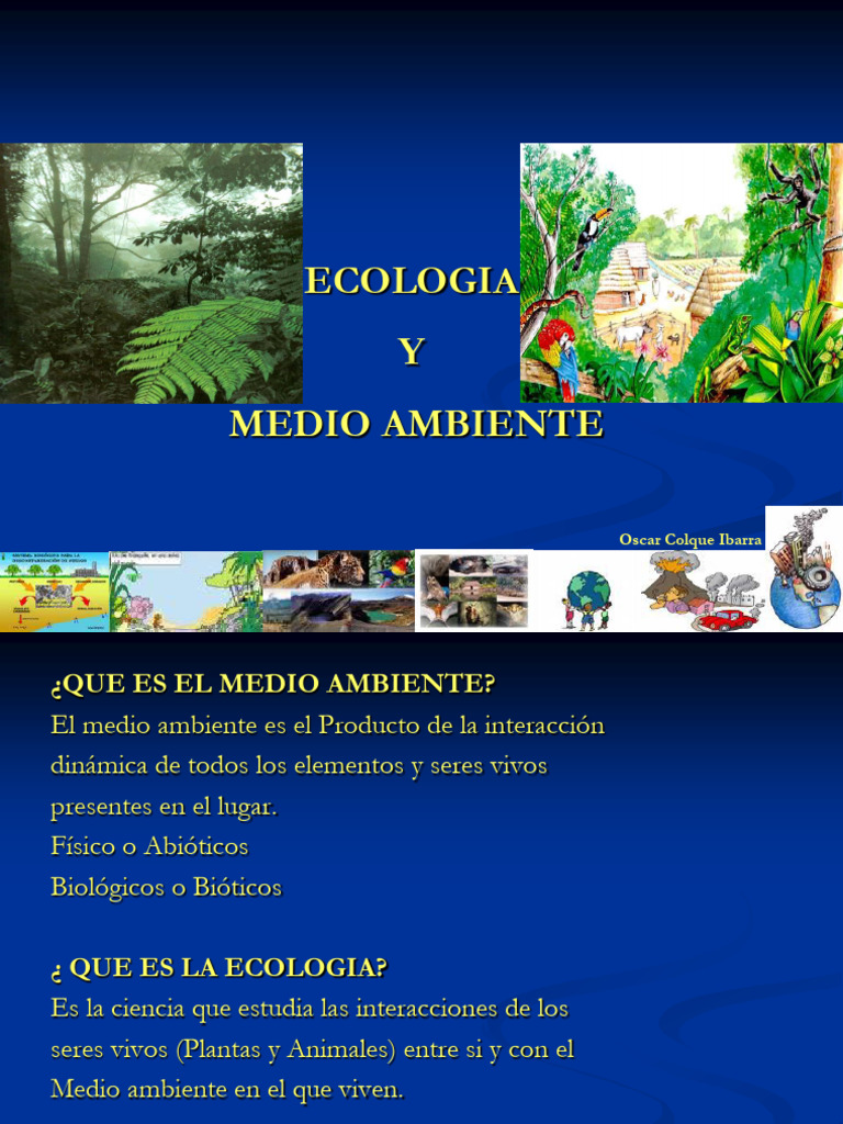 Ecologia y Medio Ambiente | PDF | Contaminación | Residuos