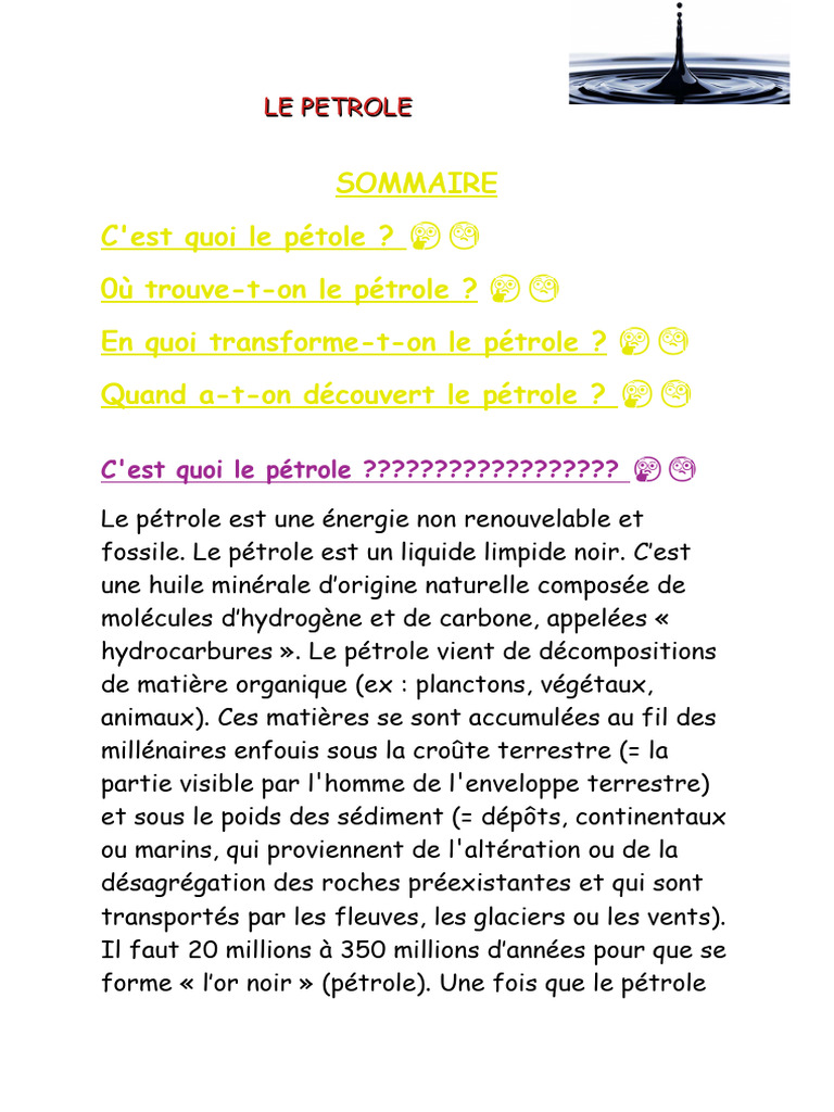 Comprendre le pétrole : origine et usages | PDF | Pétrole ...