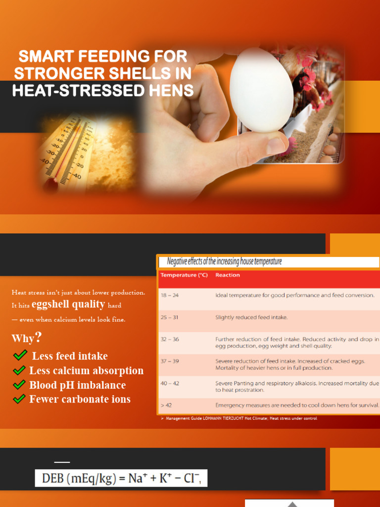 Heat Stress Impact on Egg Shell Quality | PDF