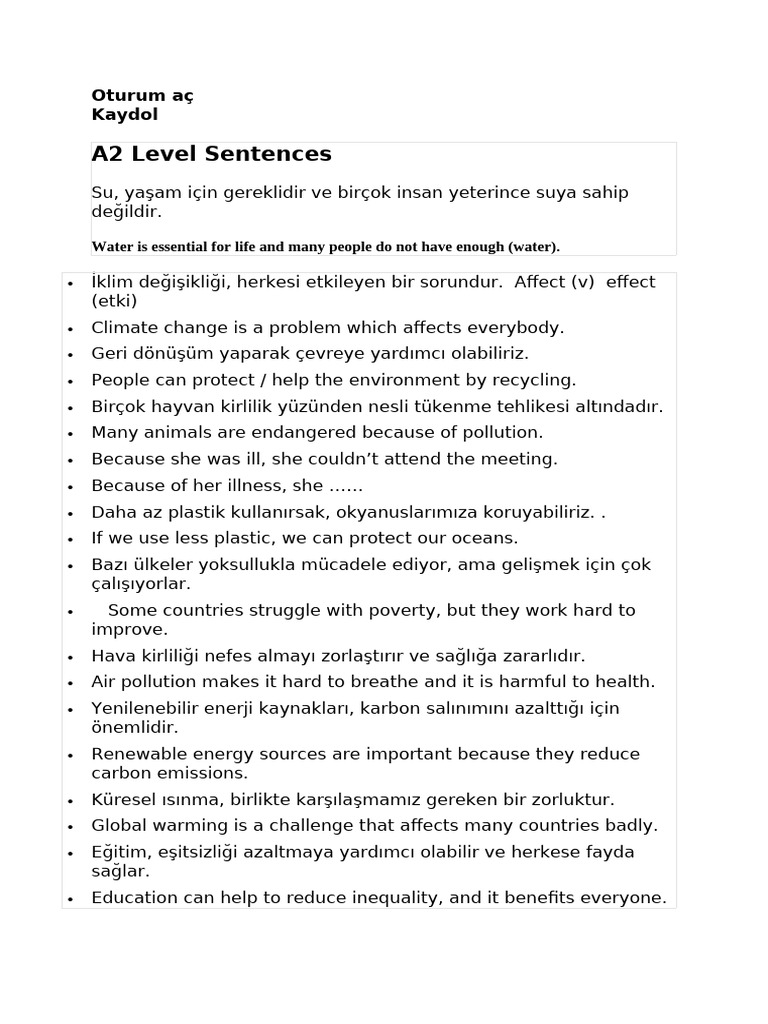 A2 Translate Sentences | PDF
