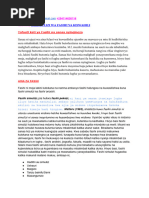 Fasihi Notes Kiswahili | PDF