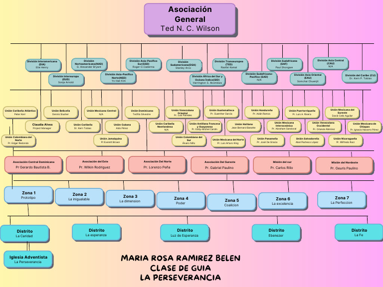Pink Colorful Modern Organizational Chart Graph | PDF | Premilenialismo ...