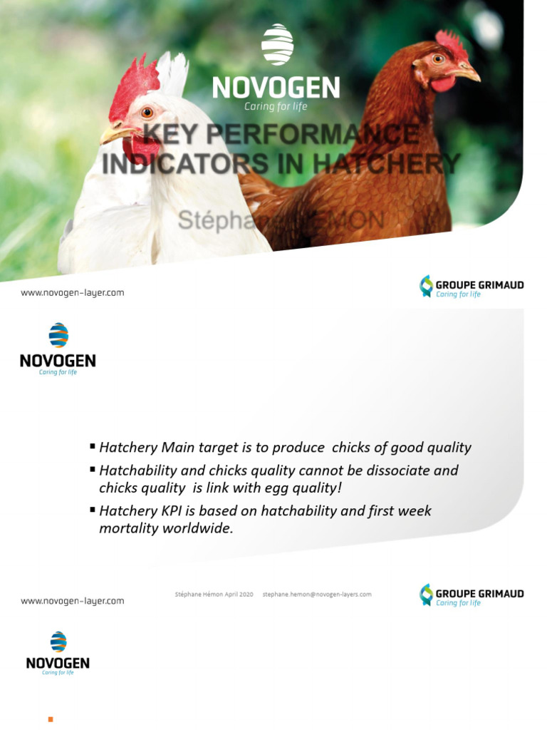 Key Performance Indicators in Hatchery | PDF | Egg | Birds
