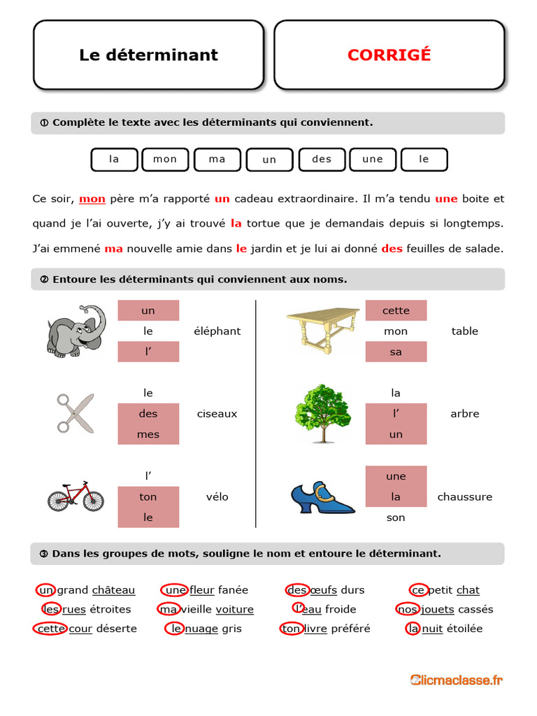Exercices sur les déterminants CE2/CM1 | PDF