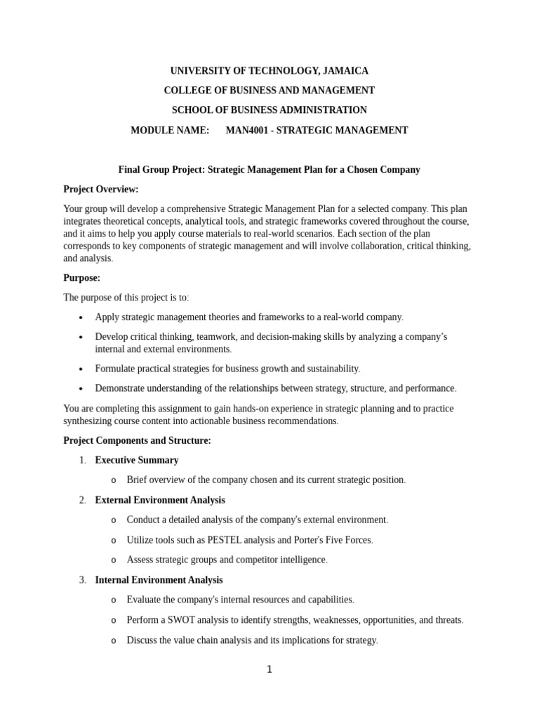 Strategic Management Plan Project Guide | PDF | Strategic Management ...