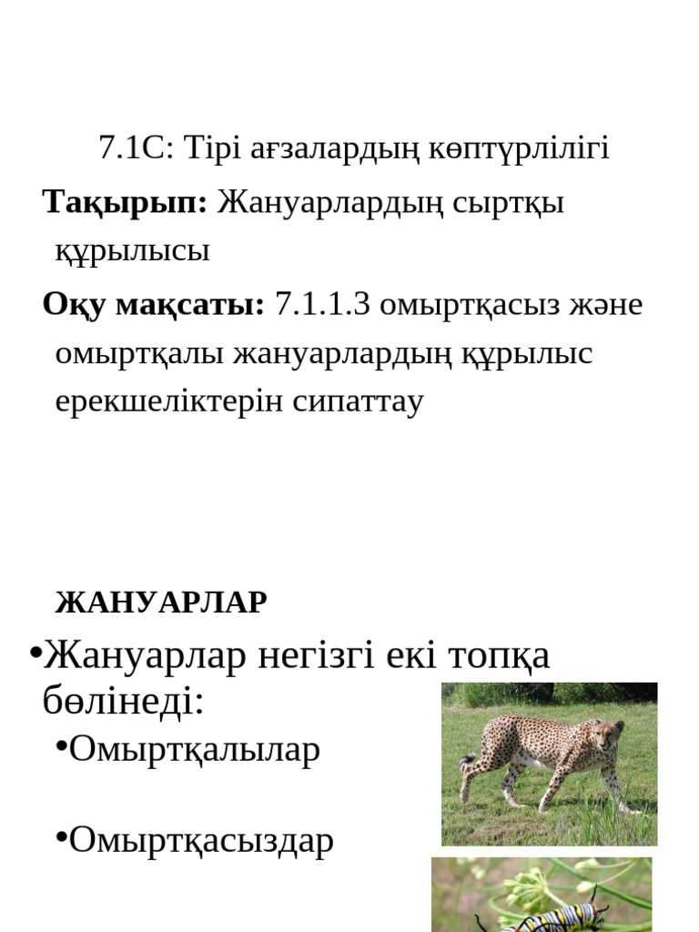 7 11 | PDF