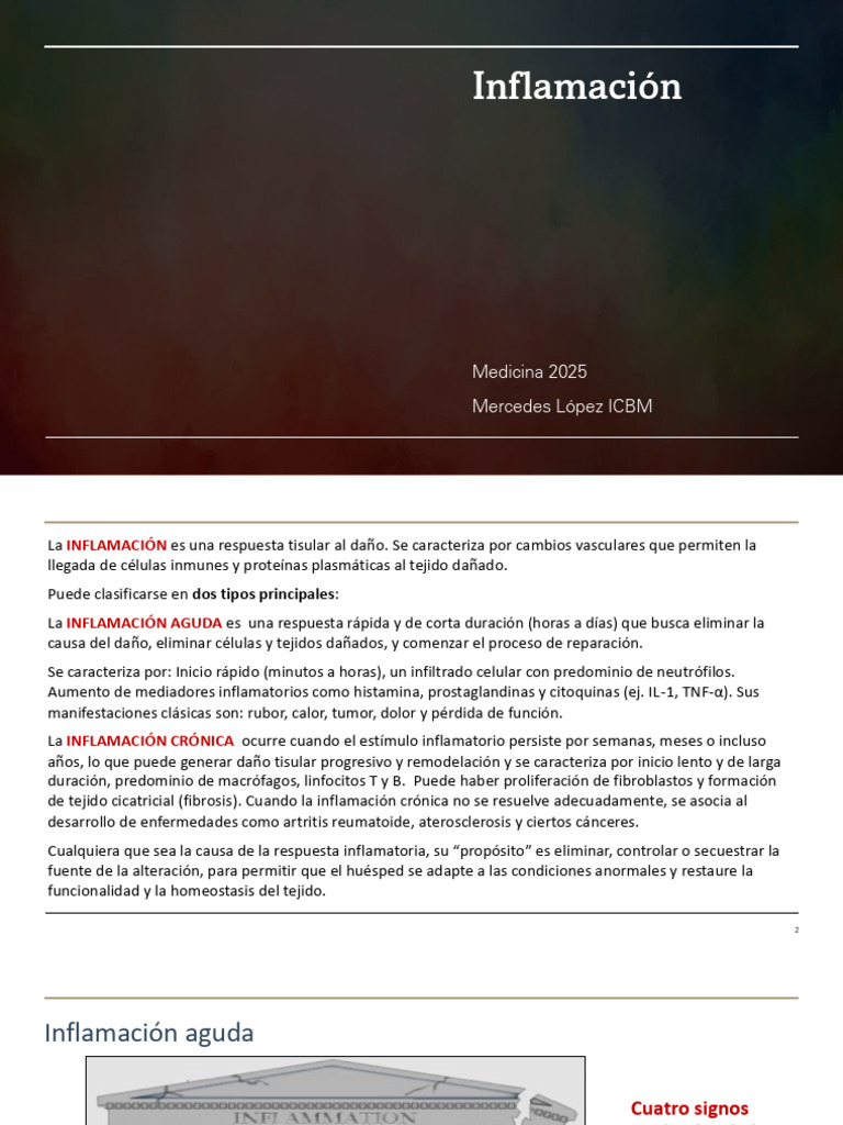Inflamaci N 2025 17 Marzo | PDF | Inflamación | Sistema inmune