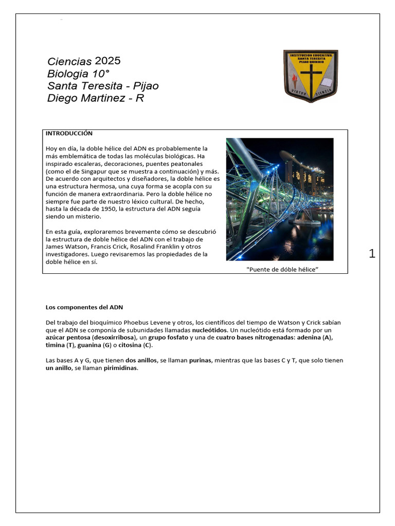 Taller_Biología_ADN_Estructura_2025 | PDF | Adn | James Watson