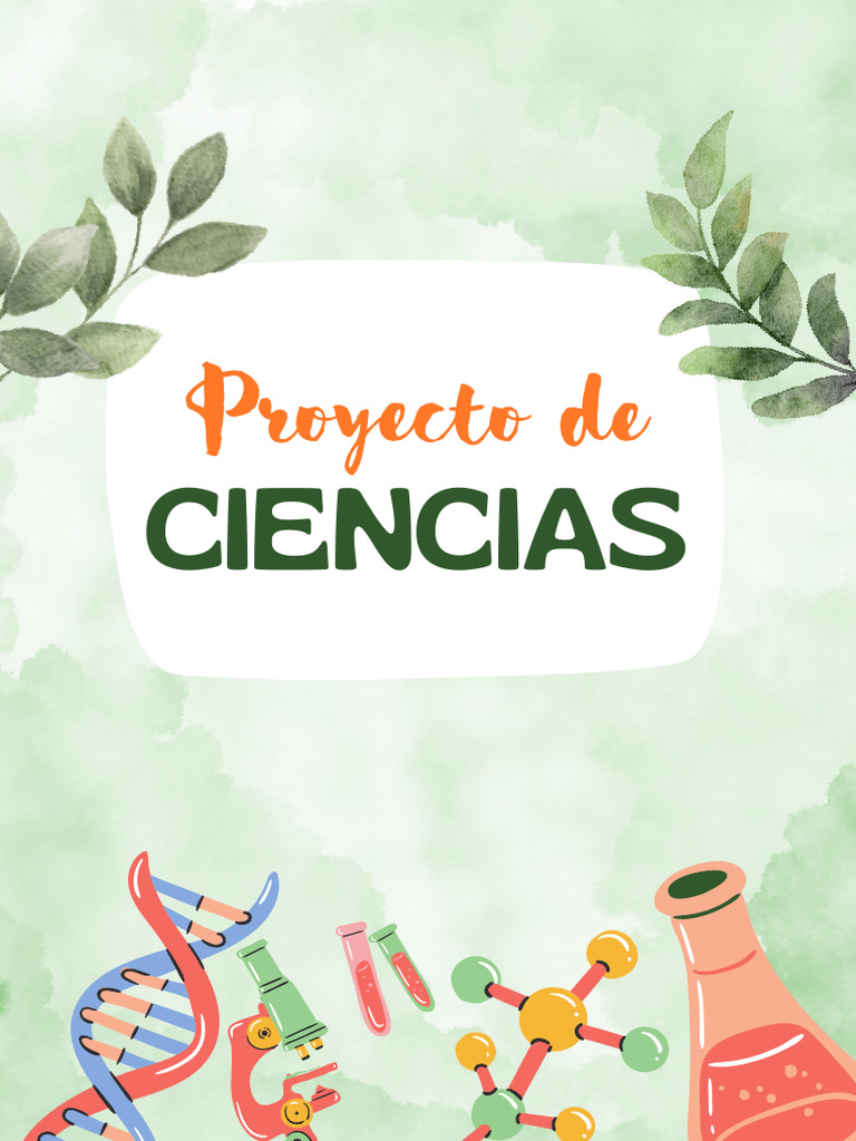 Proyecto de | PDF