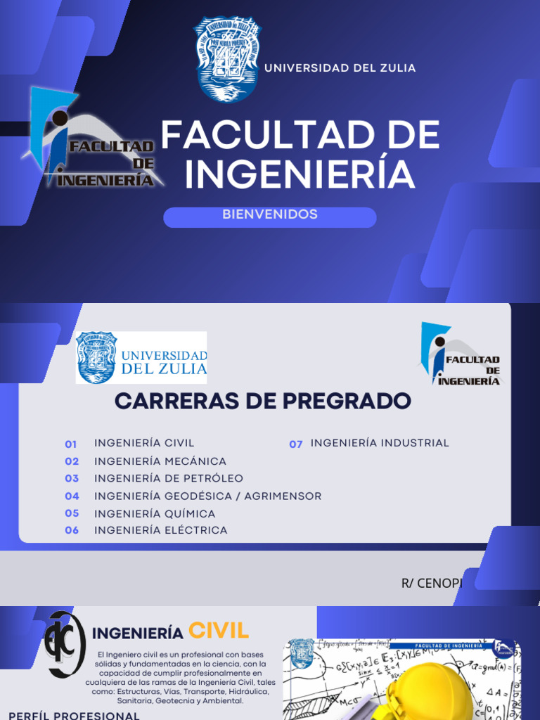 Carreras de Ingeniería en UZ: Guía Completa | PDF | Ingeniería ...