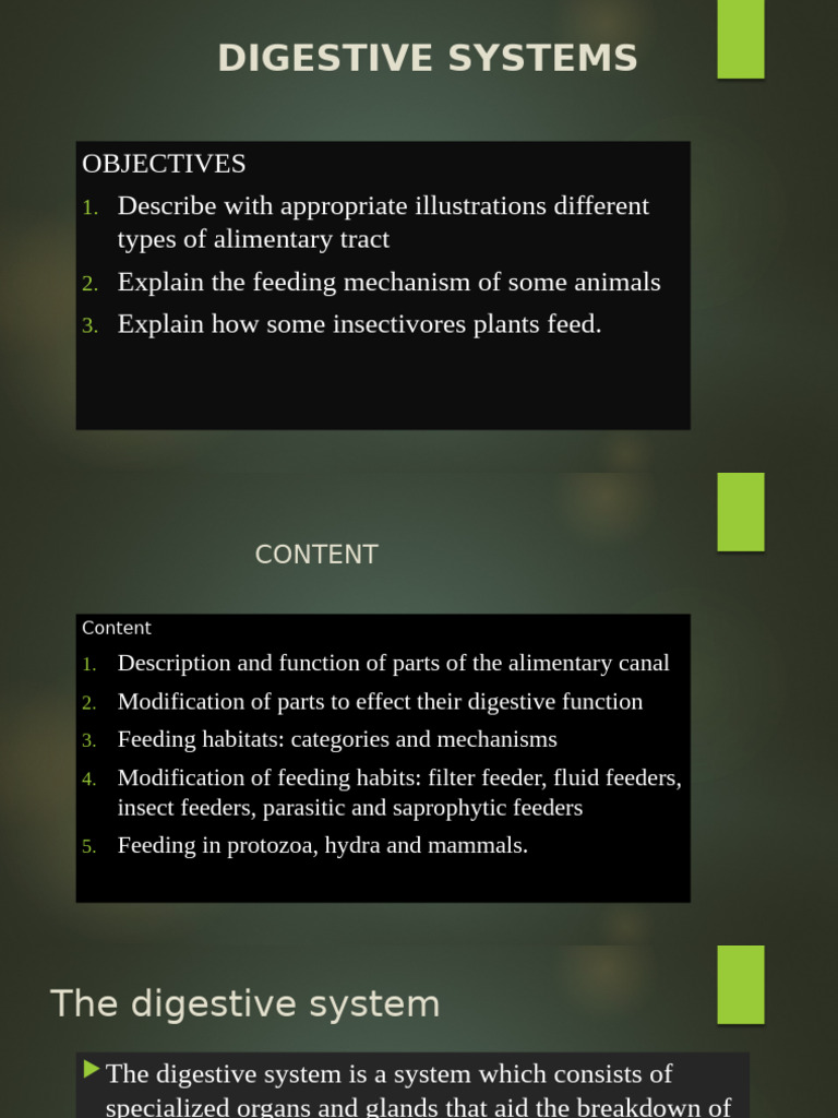 The Digestive System | PDF | Cofactor (Biochemistry) | Stomach