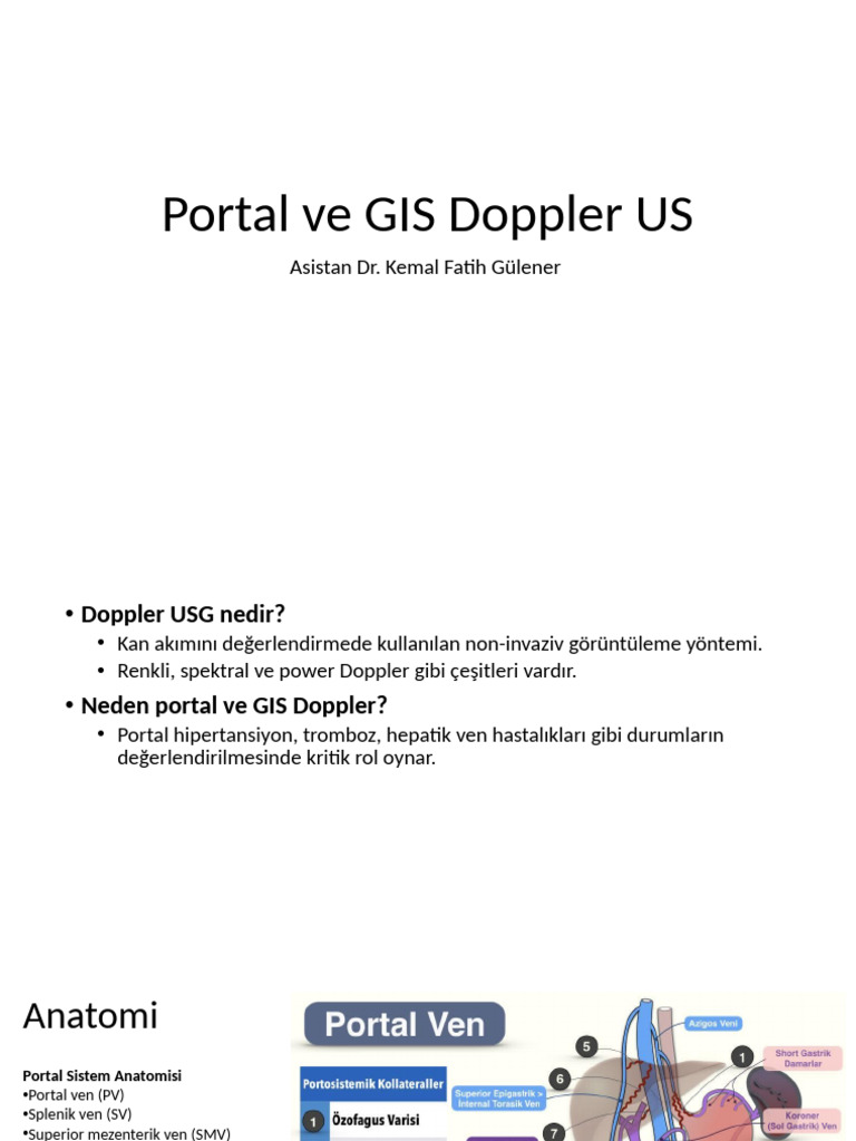 Gis Ve Portal Doppler | PDF