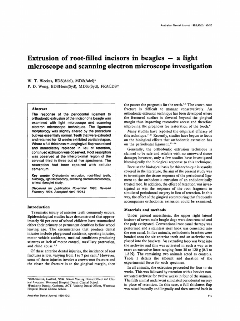 Extrusion of Root-filled Incisors in Beagles | PDF | Human Tooth ...