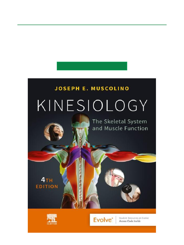 Kinesiology 4th Edition Illustrated Ebook Download | PDF | Anatomical ...