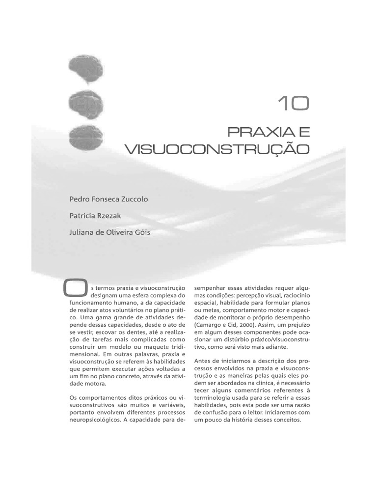 Praxia e Visuoconstrução | PDF