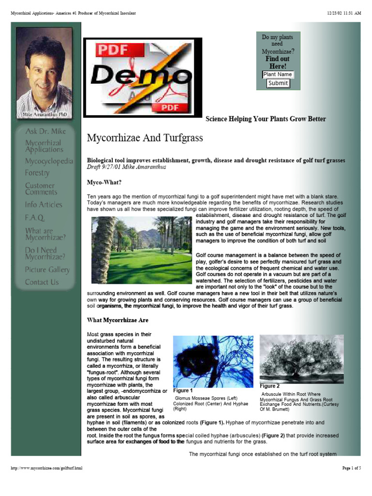 Mycorrhizae and Turfgrass PDF 1 | PDF | Biology | Soil Science