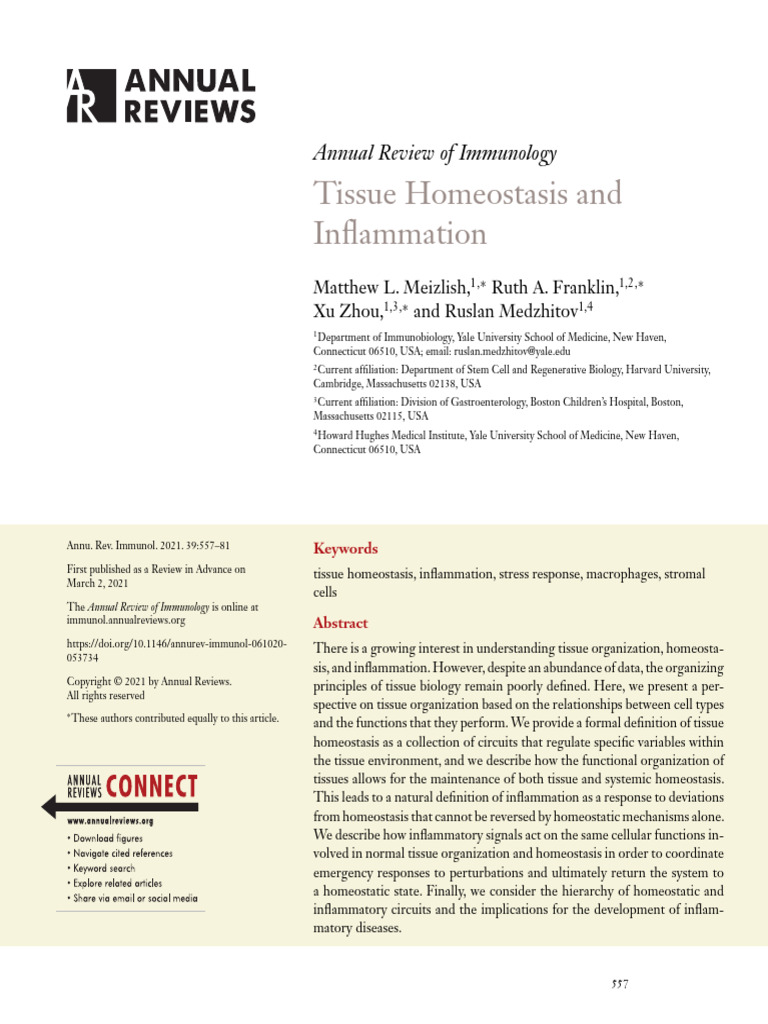 Inflammation Review | PDF | Epithelium | Lung