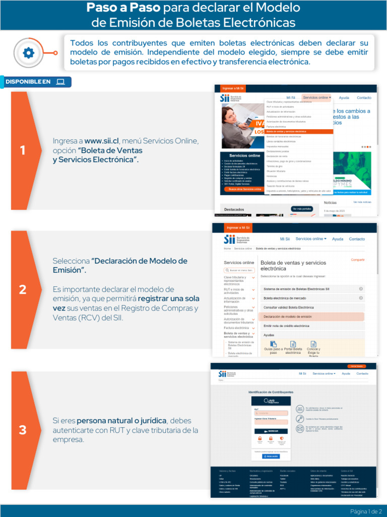 Declaración de Modelo de Boletas Electrónicas | PDF
