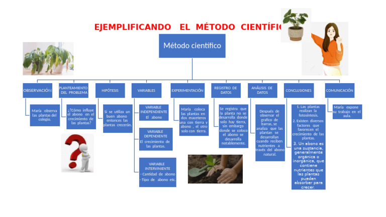 Ejemplificando El Método Científico | PDF | Plantas | Fertilizante