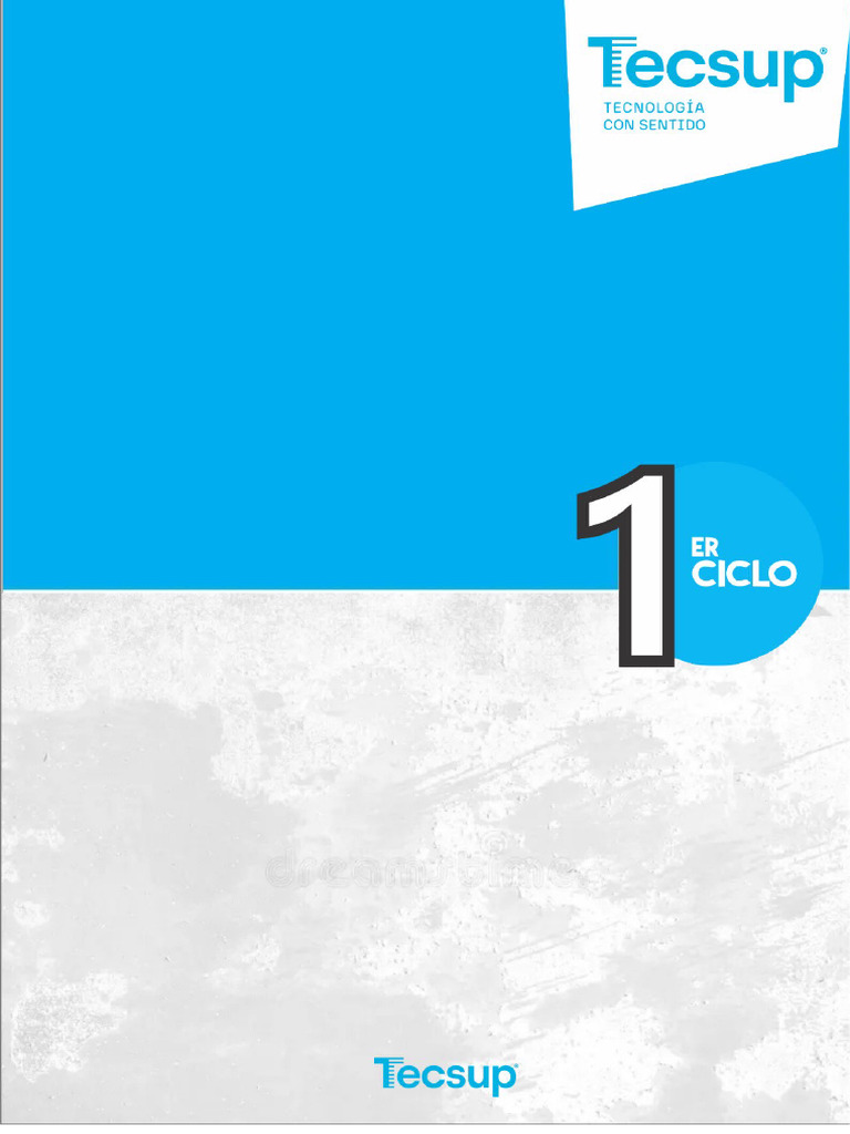 IMPRIMIR CARATULA 2025 - MMCB TECSUP.png | PDF