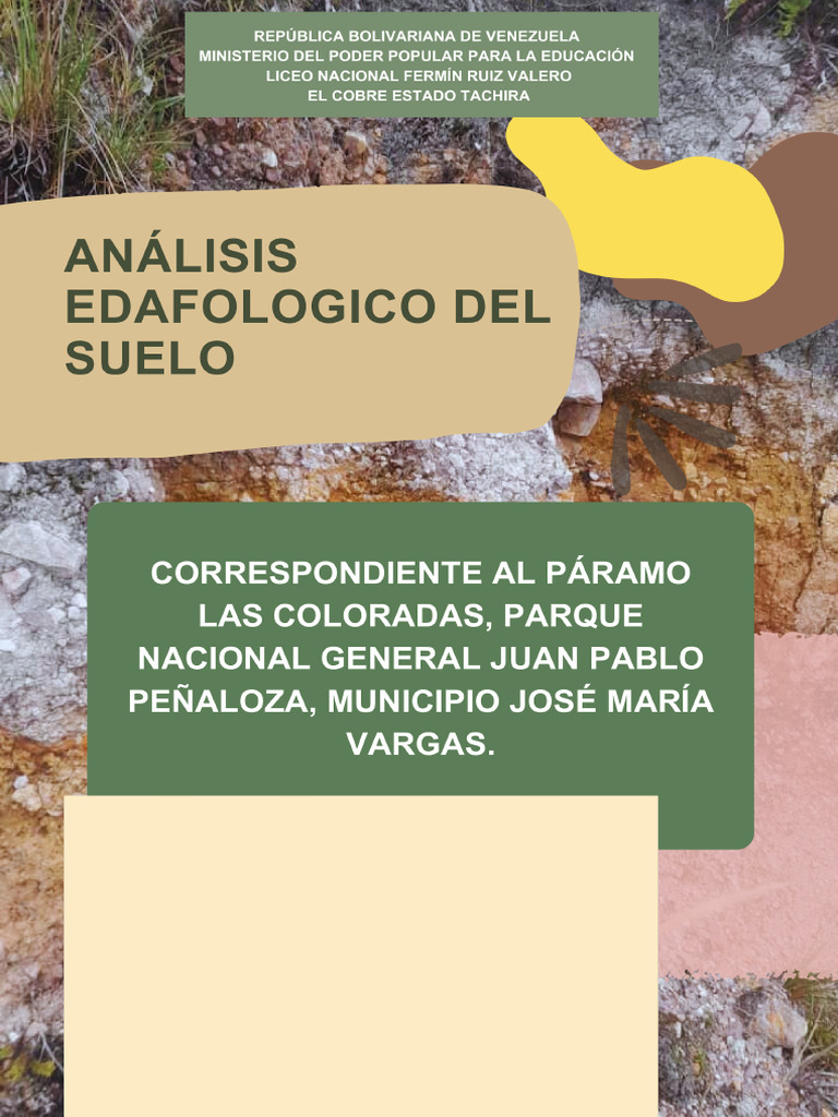 Revista Nro. 2 | PDF