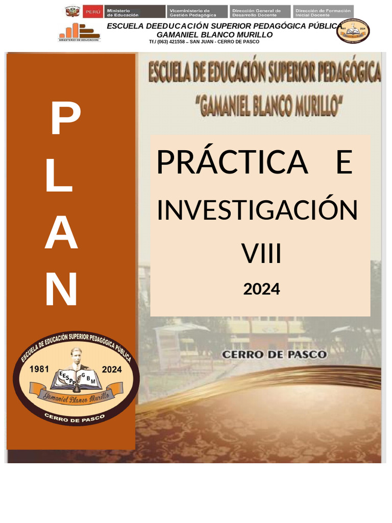 Plan de Practica e Investigación-Páginas | PDF | Enseñando | Evaluación