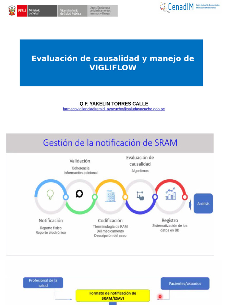 Evaluación de Causalidad y Manejo de VIGIFLOW | PDF