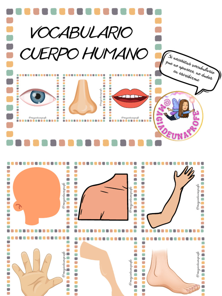 Vocabulario Cuerpo Humano Pdf