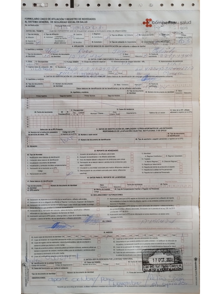 Formulario Seguridad Social | PDF