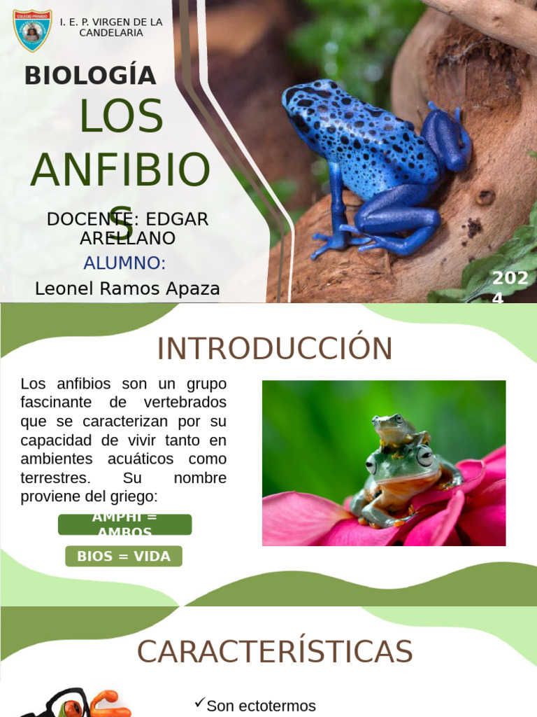Características de los Anfibios | PDF
