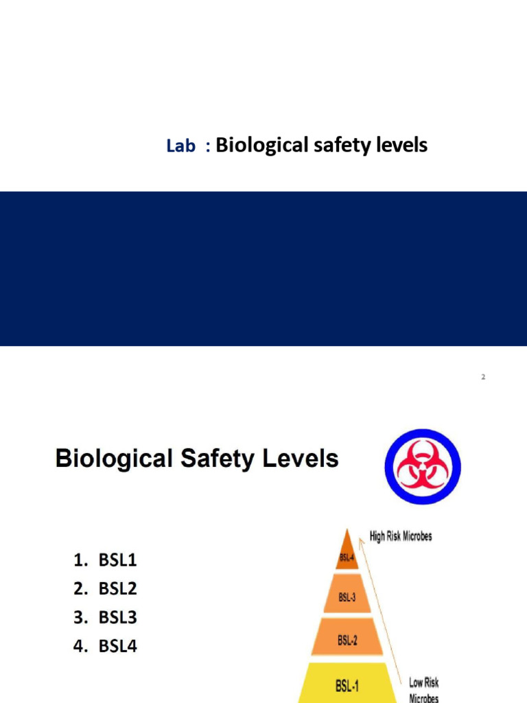 Lab_Lect Biosafety levels | PDF