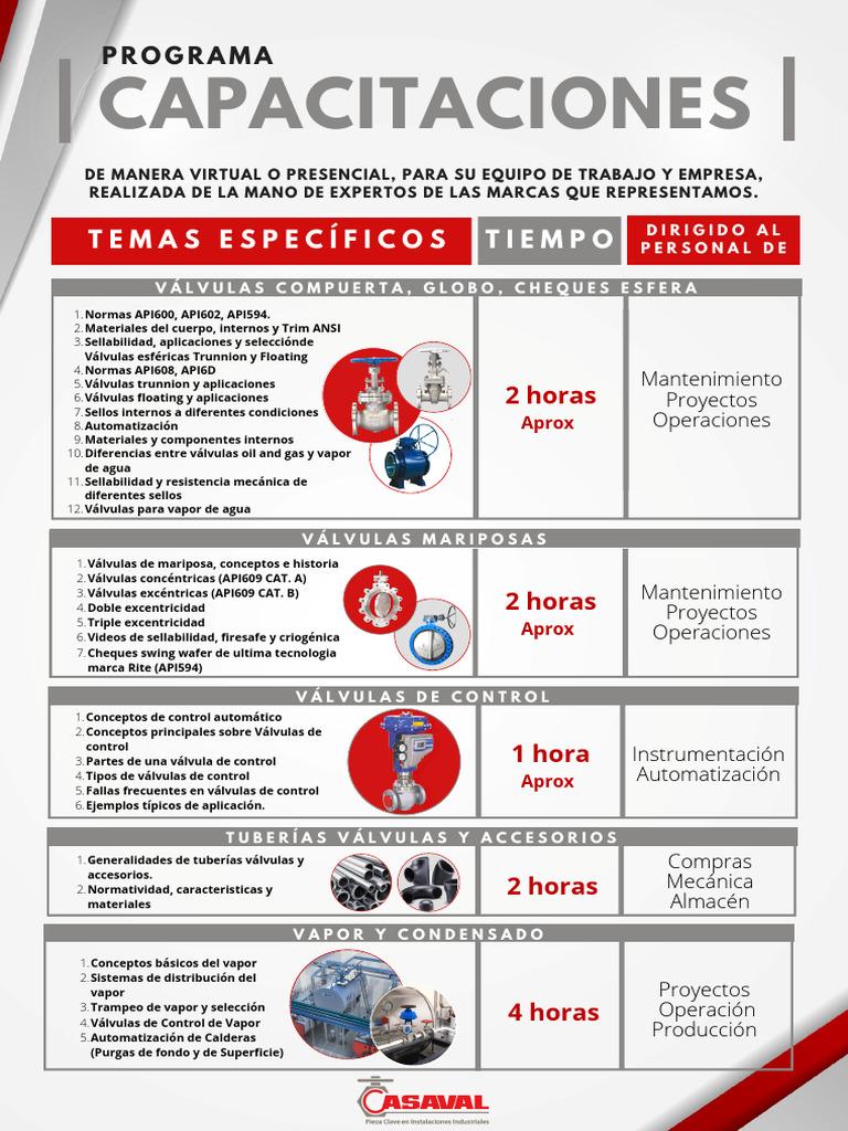 Programa Capacitaciones | PDF | Válvula | Presión
