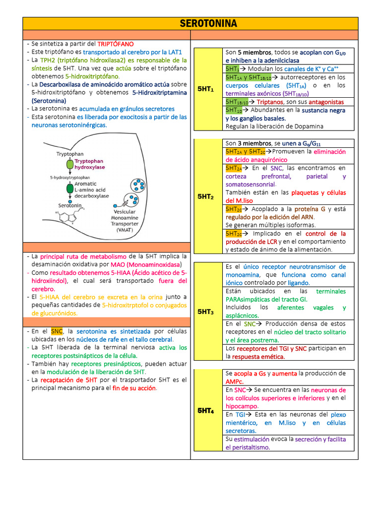 Serotonina: Síntesis y Receptores 5HT | PDF | Serotonina | Fisiología