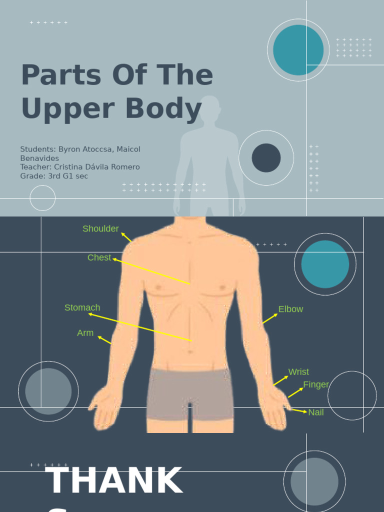 Project_Upper Body Parts | PDF