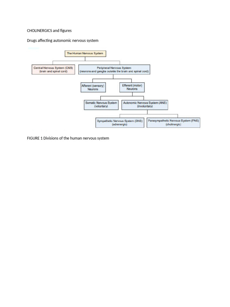 CHOLINERGICS and Figures | PDF