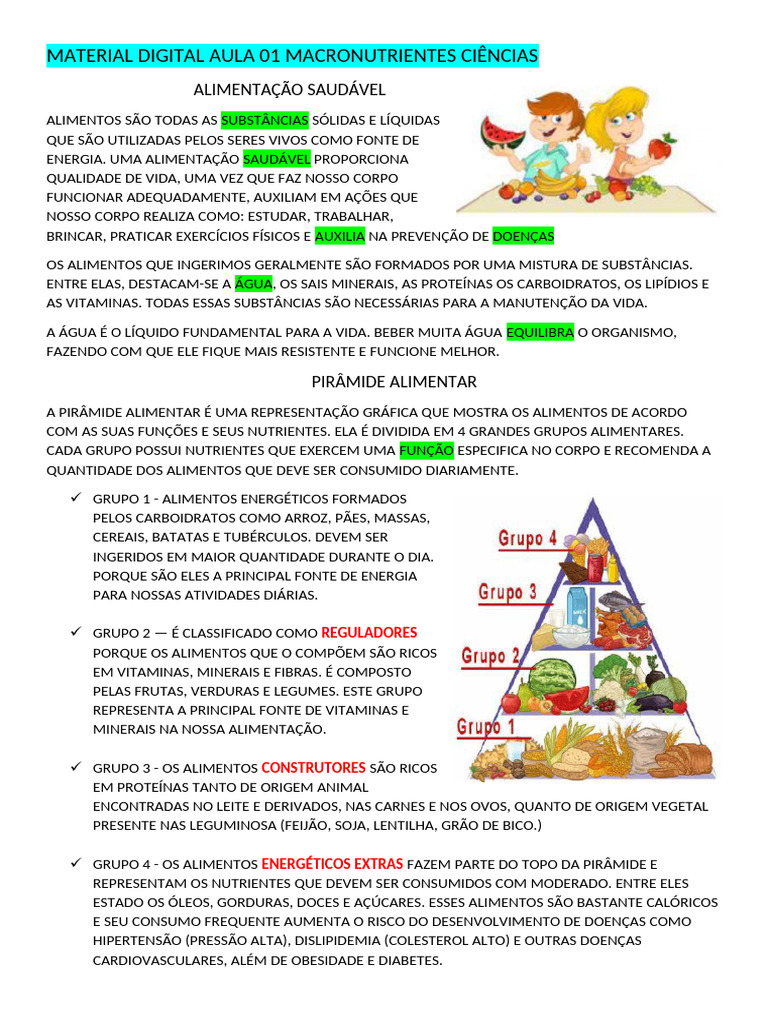 Pirâmide Alimentar e Macronutrientes | PDF | Alimentos | Nutrientes